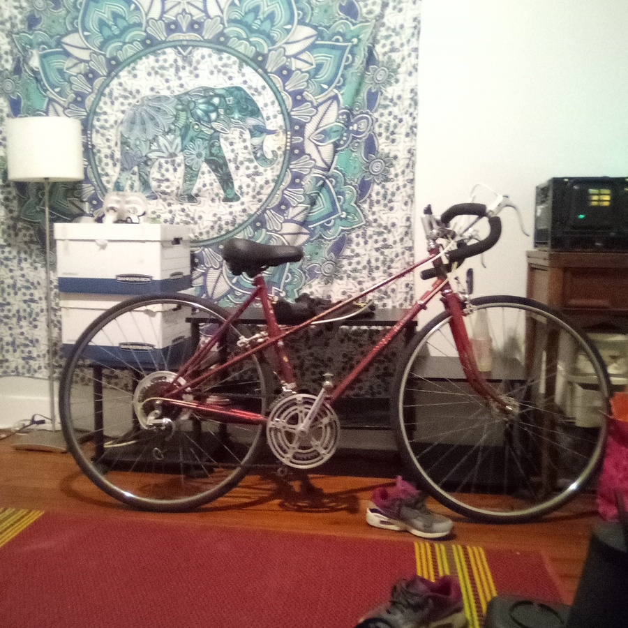 1978 Raleigh Record Ace