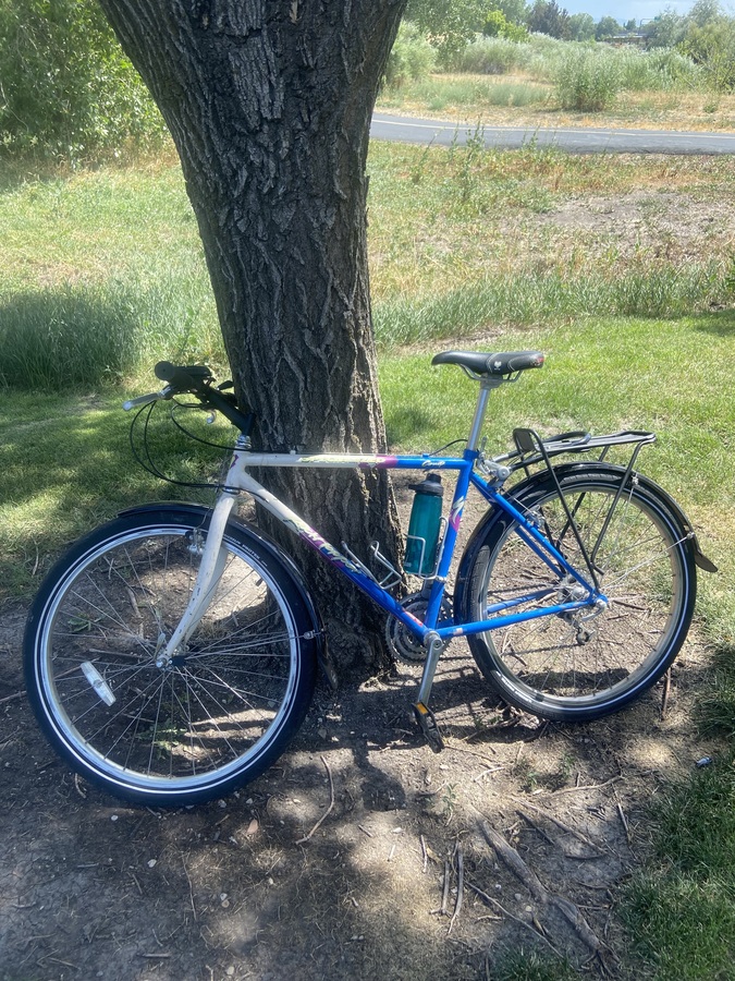 1989 Specialized Rockhopper