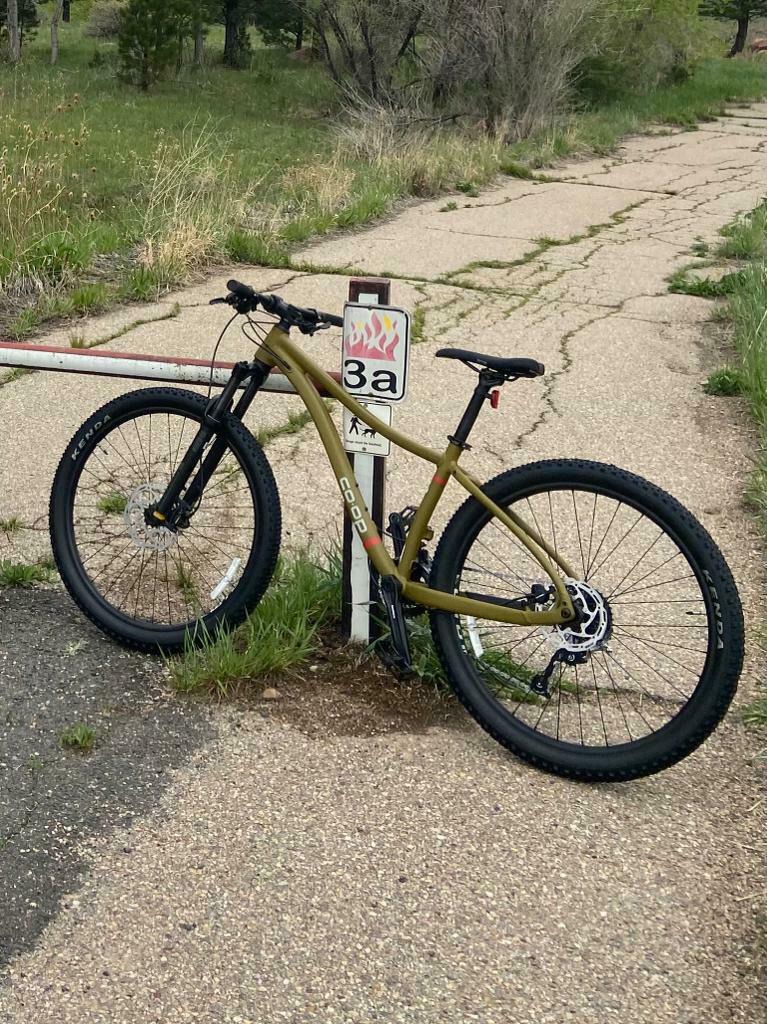 2023 REI Co-op DRT 1.2 Bike Moss
