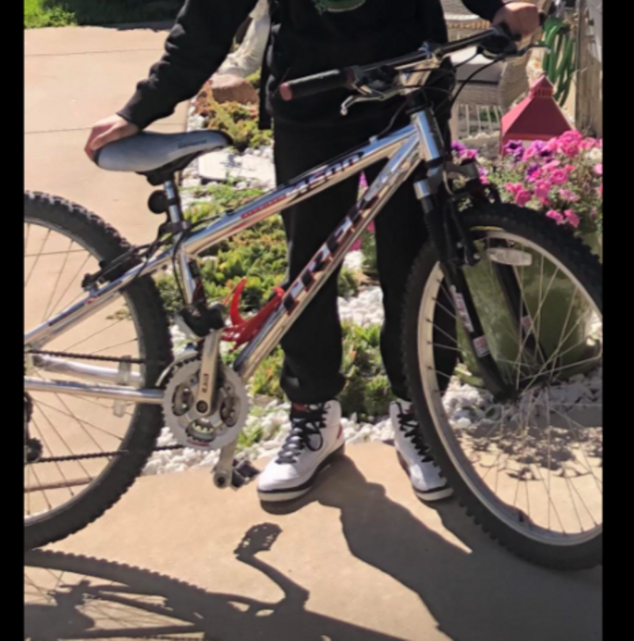 Stolen Trek 4500