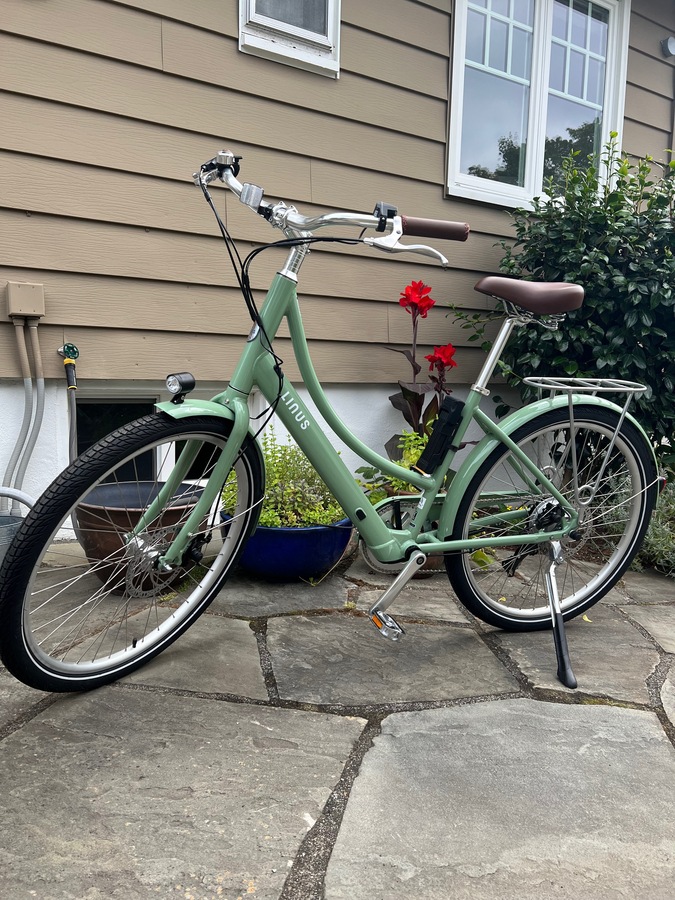 2023 Linus eDutchi City eBike Sage