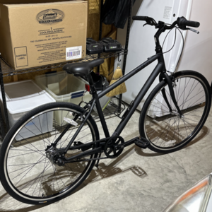 2023 Priority Bicycles Classic Plus Gotham Edition Diamond