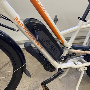 Rad Power Bikes RadWagon cargo bike rear