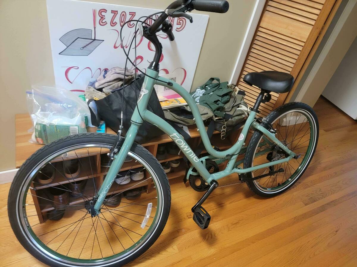 2022 Electra Townie 7D Step Thru Palm