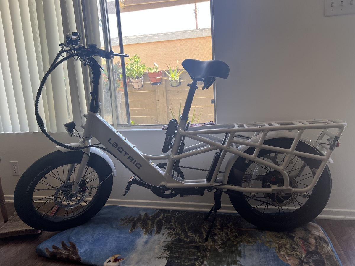 2021 Lectric eBikes Xpedition dual battery cargo bike rear