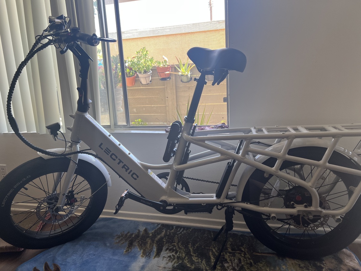 2021 Lectric eBikes Xpedition dual battery cargo bike rear
