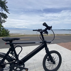 2021 Wing Freedom S 2 10.4ah