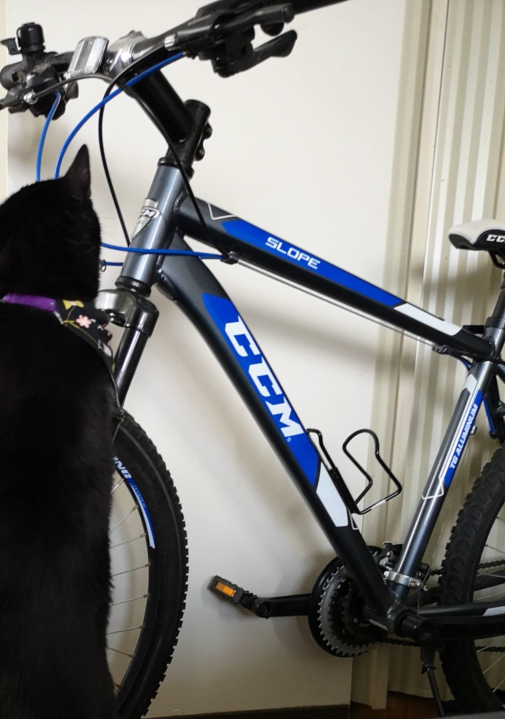 Stolen 2018 CCM CCM Slope Men's Hardtail Mountain Bik...