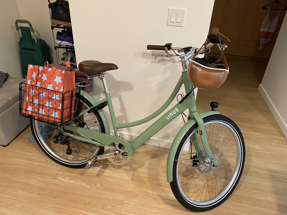 Linus eDutchi City eBike Sage