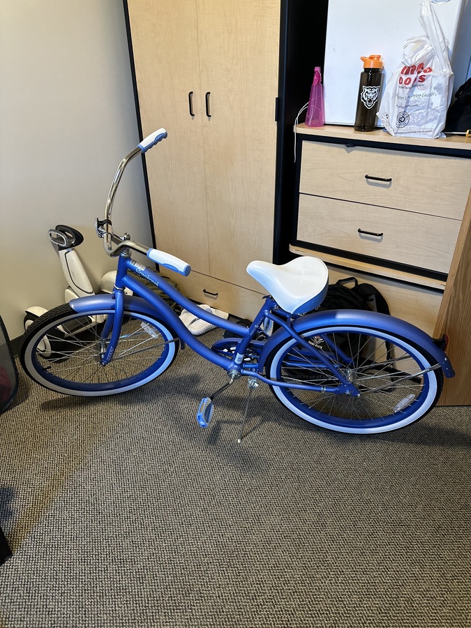 Huffy Cruiser / cranbrook