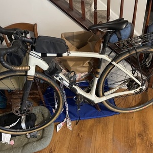 2020 Trek Checkpoint SL5