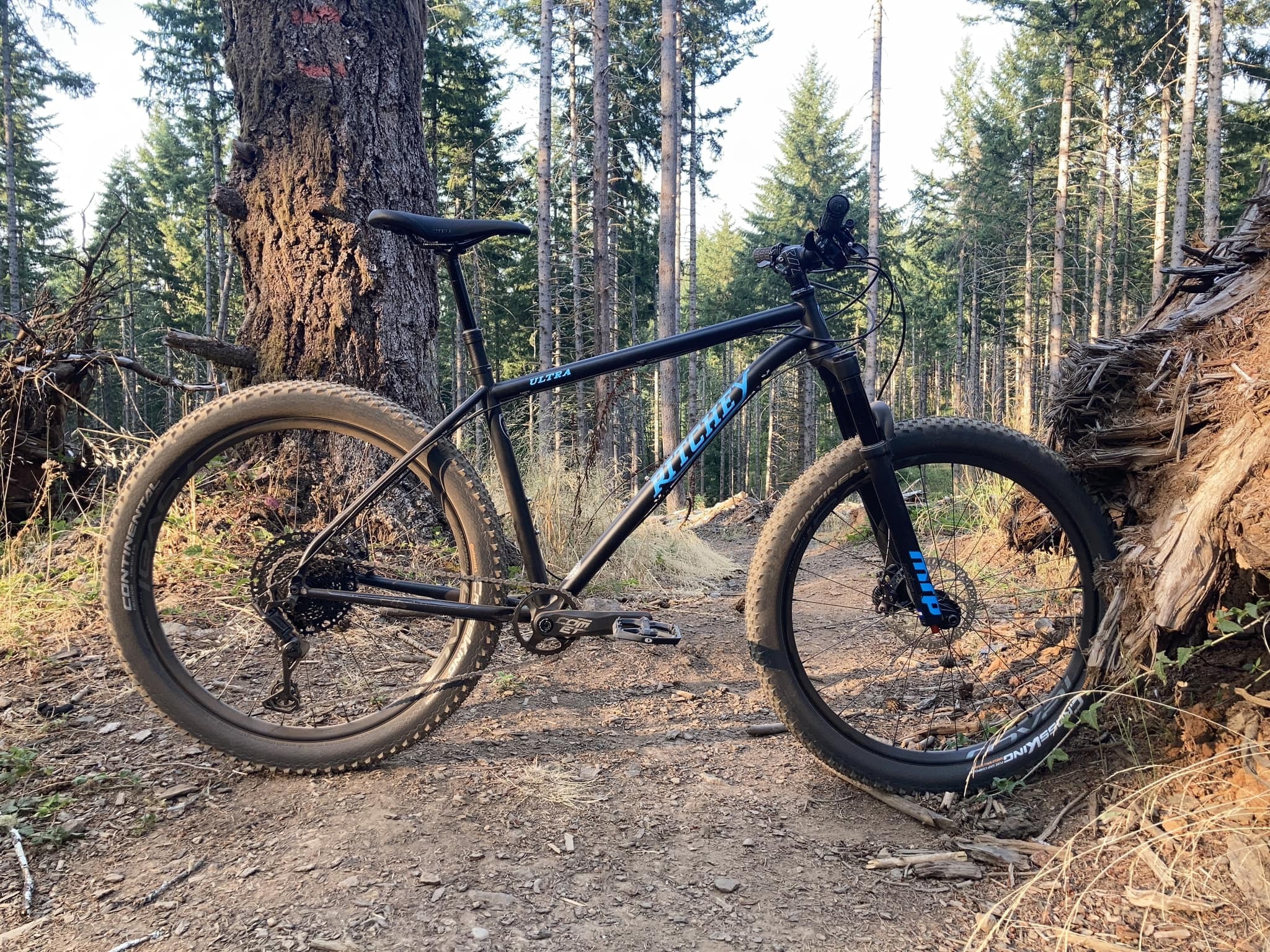 2022 Ritchey Ultra