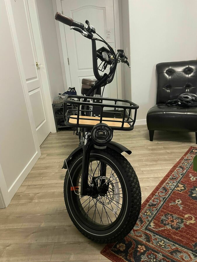 2020 Rad Power Bikes Rad Runner Plus