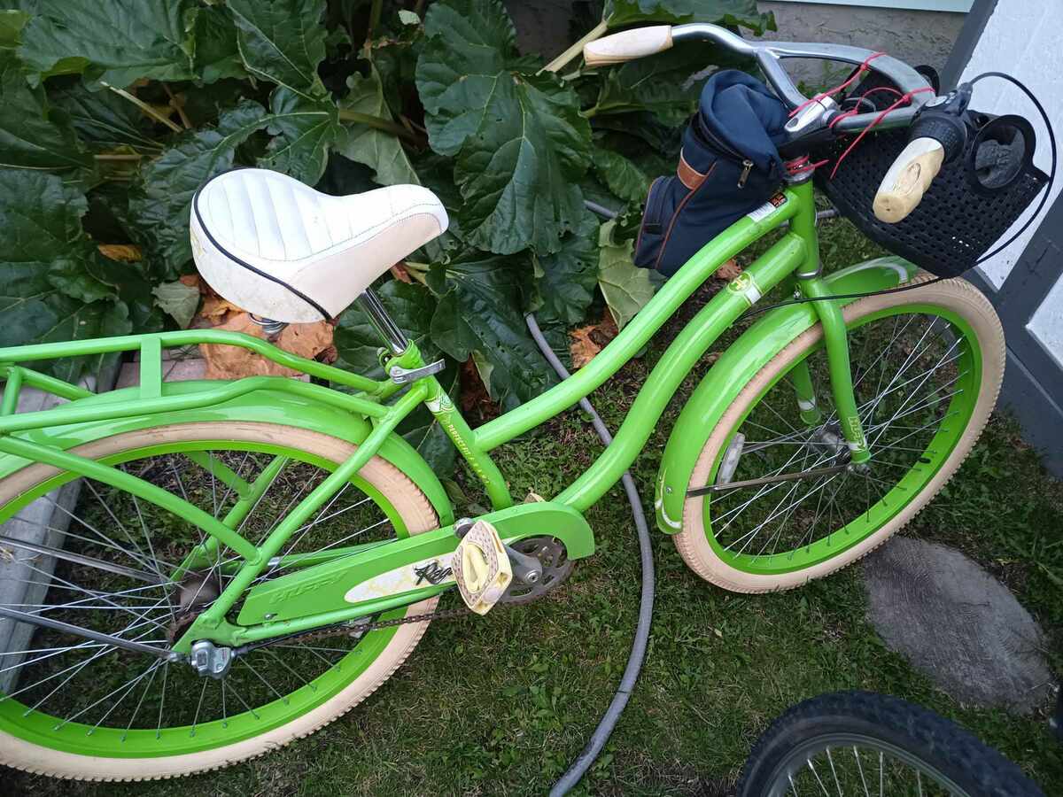 2021 Huffy Regatta