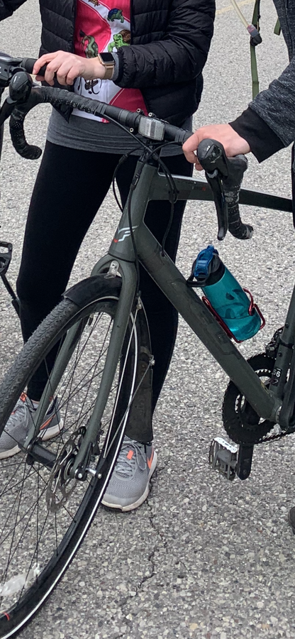 Stolen 2017 Felt V55