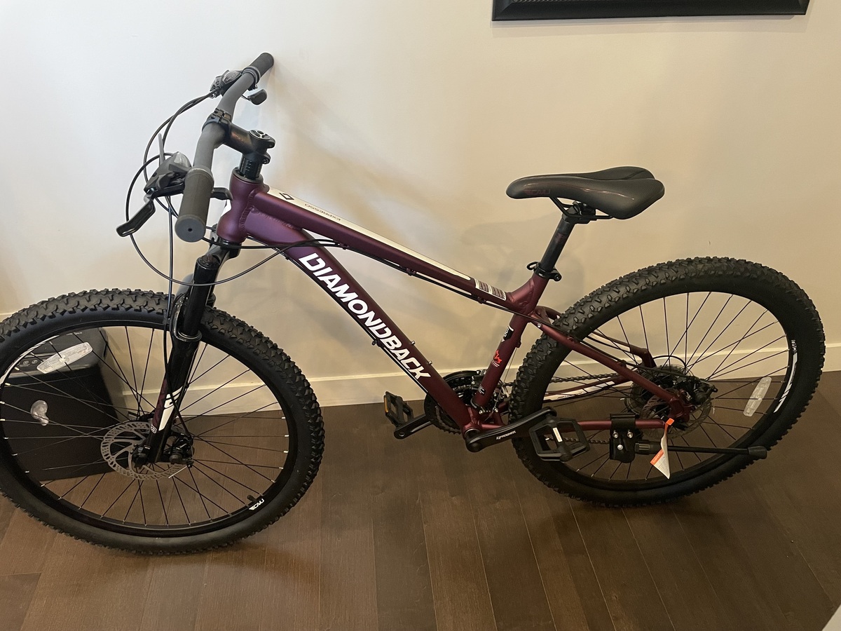 2023 Diamondback Expresso