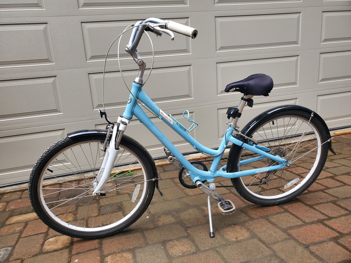 2009 Giant Suede Metro