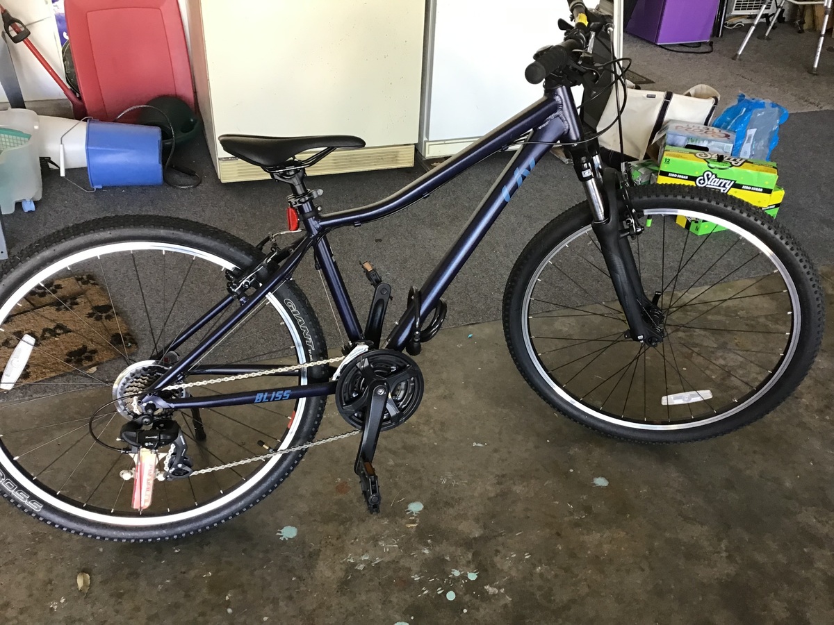 2022 Giant Liv Bliss