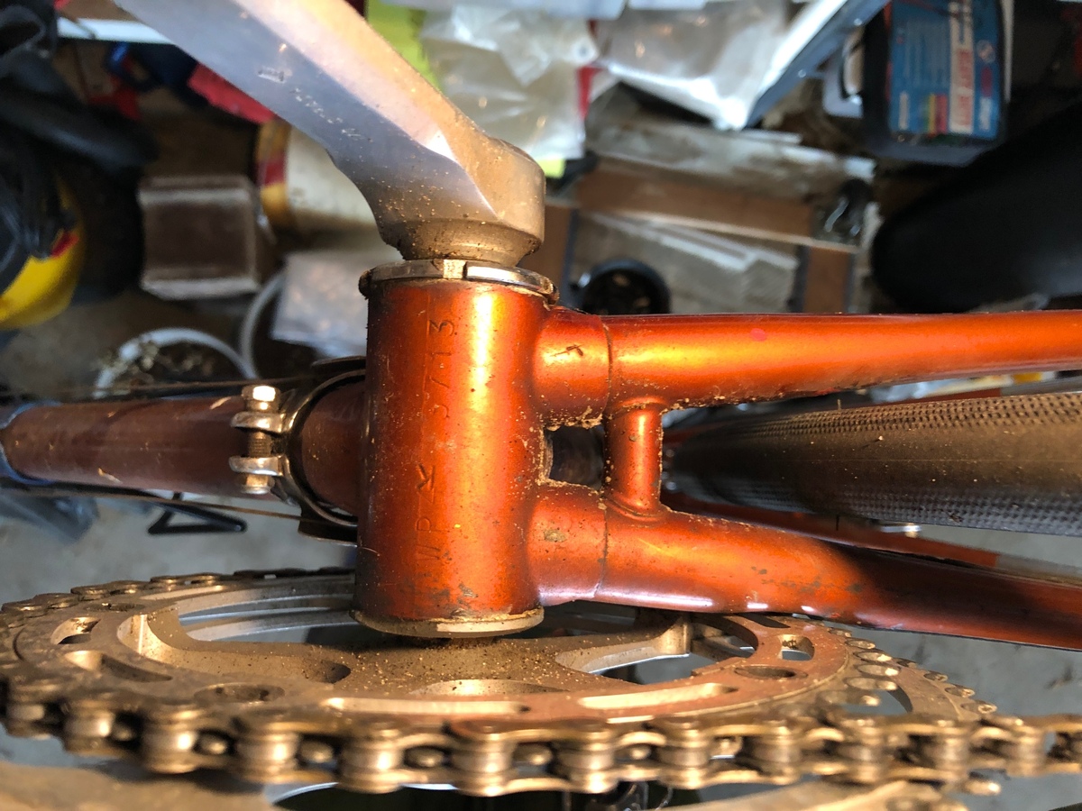 1976 Raleigh International