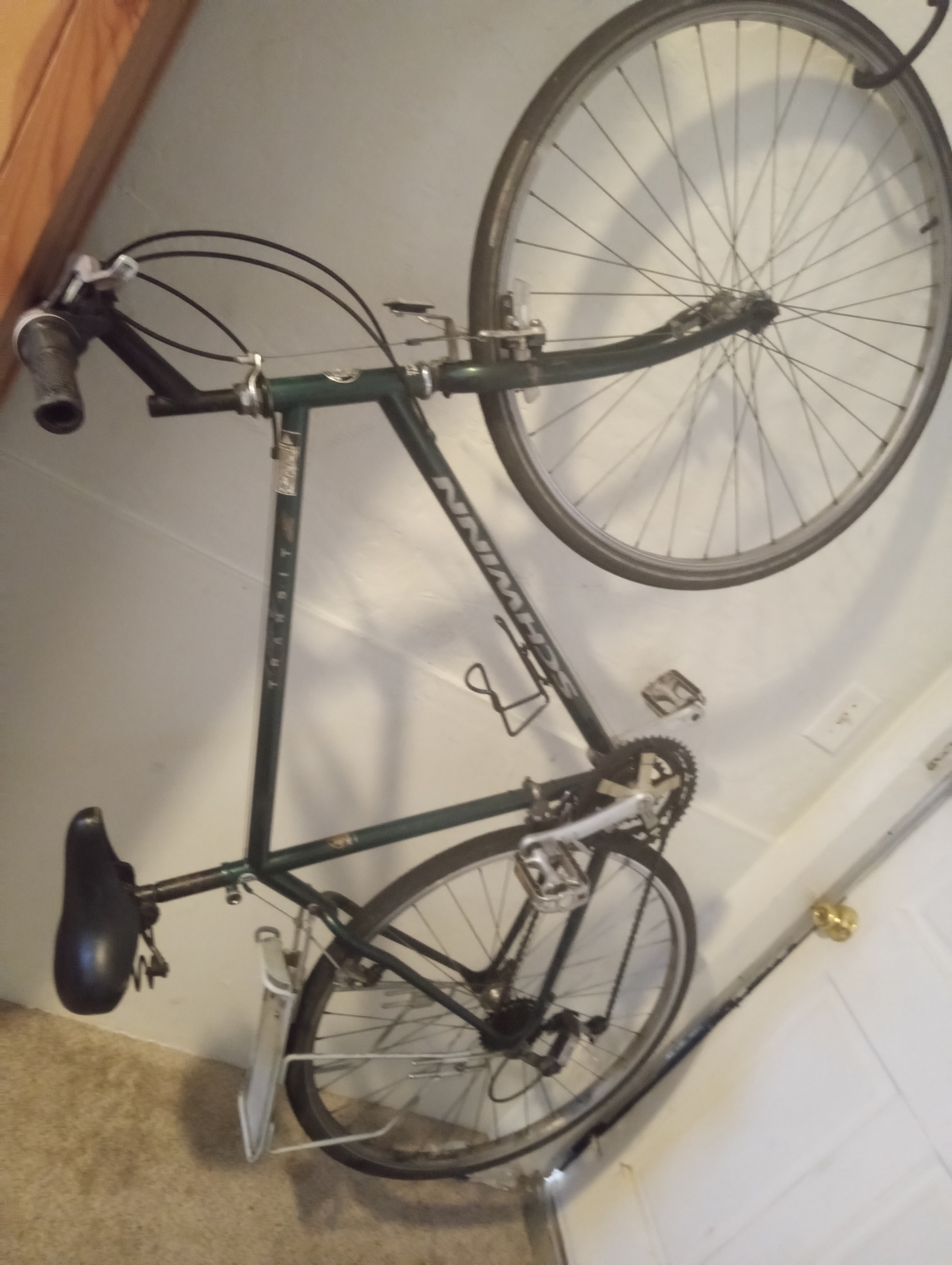 2000 Schwinn