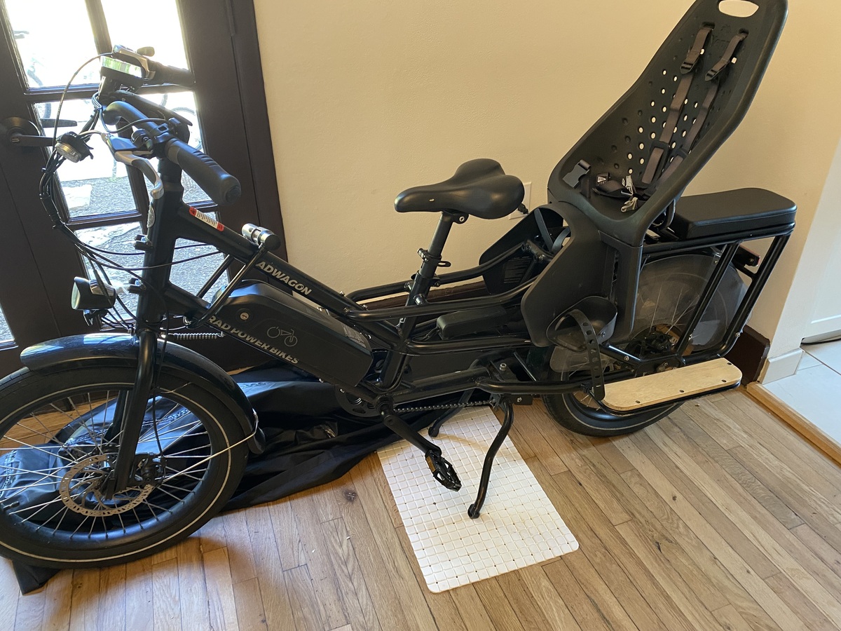 2020 Rad Power Bikes Radwagon 4