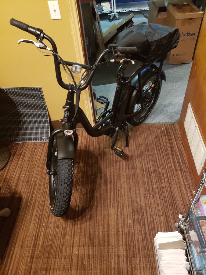 2021 Rad Power Bikes Radrunner 2 cargo bike rear