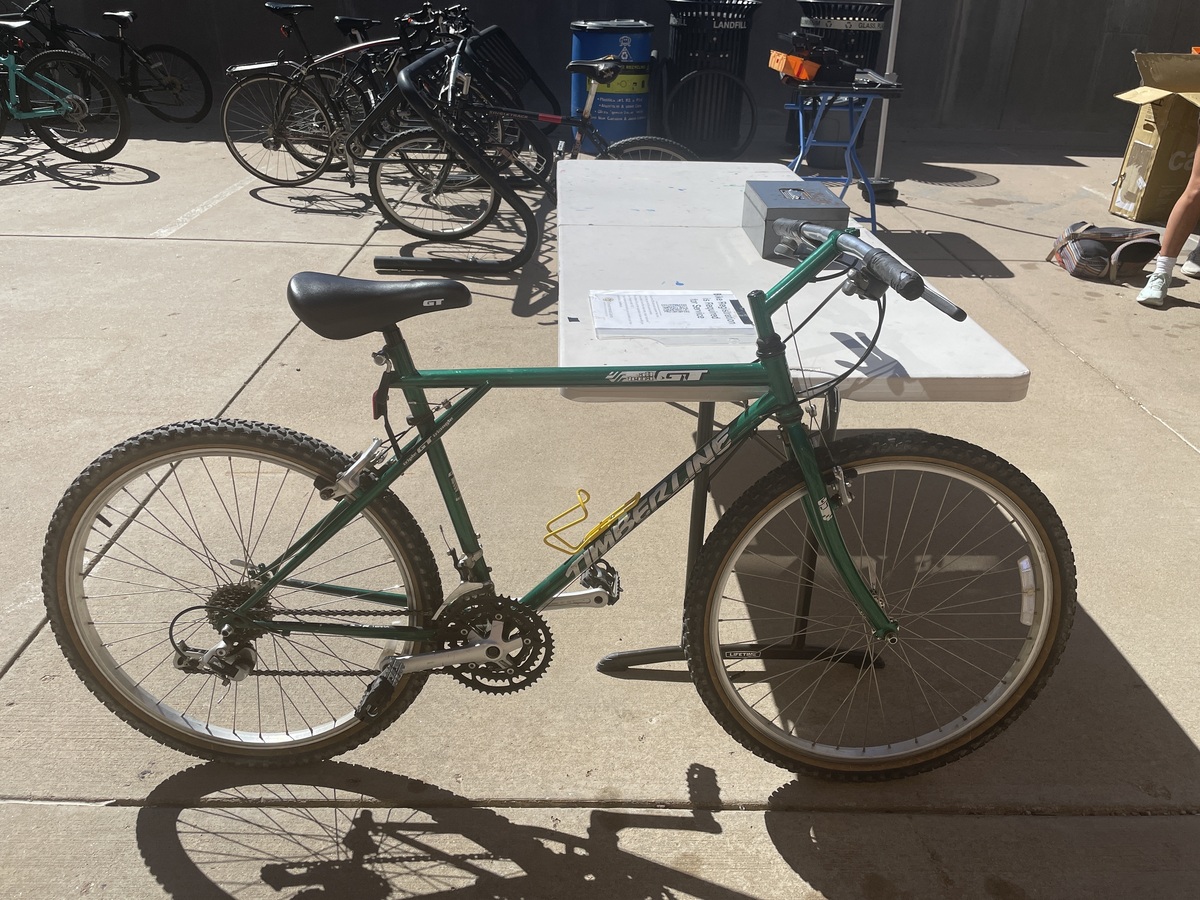 Timberline Mountain Bike