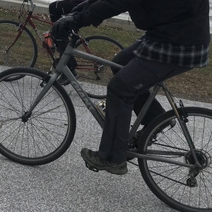 2019 Giant XL