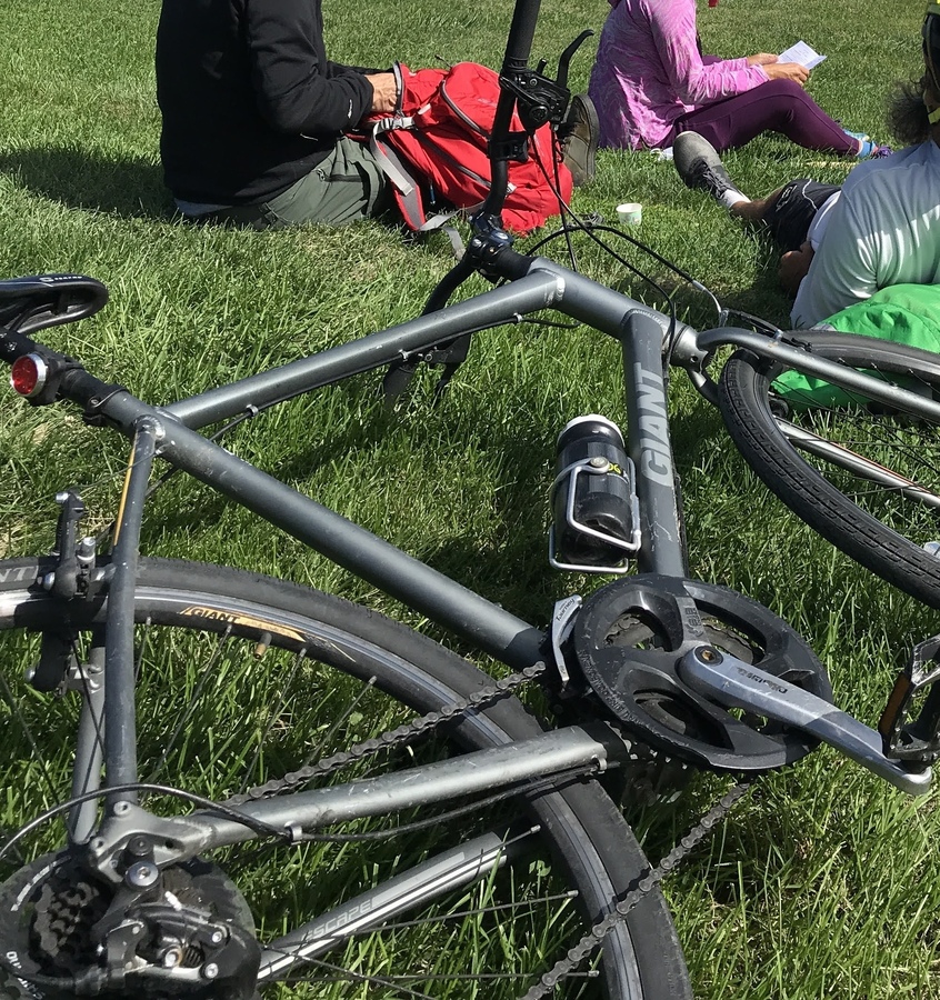 2019 Giant XL