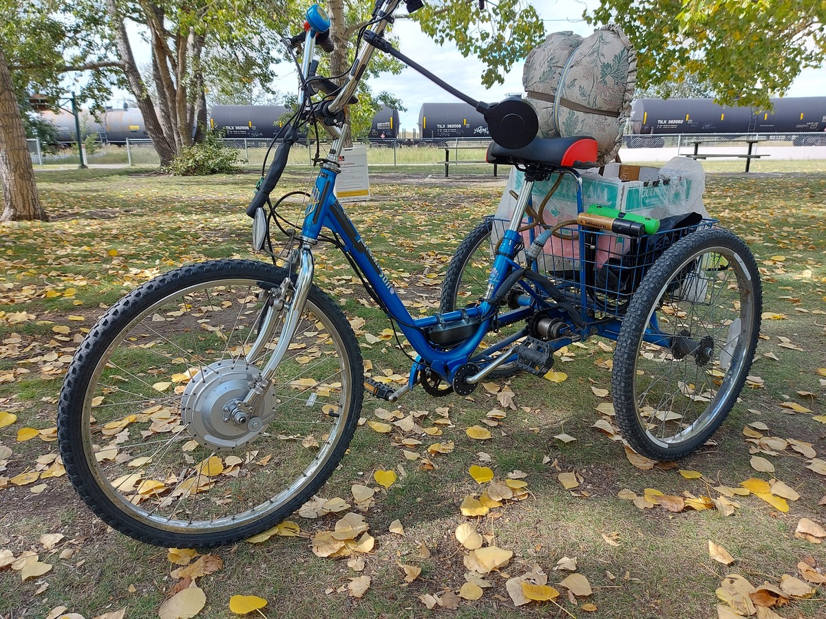 Miami Sun Leader Trike tricycle
