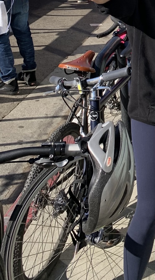 Stolen 2020 Linus Pronto 8