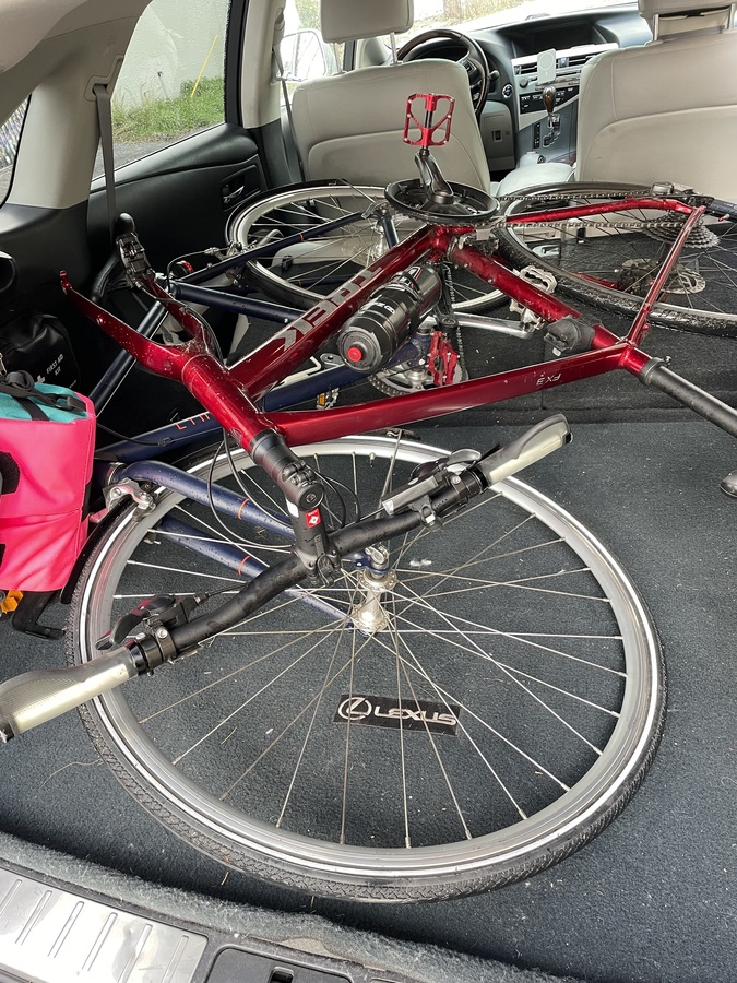 Stolen 2020 Linus Pronto 8