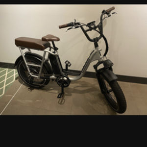 Stolen 2020 Rad Power Bikes Rad runner plus