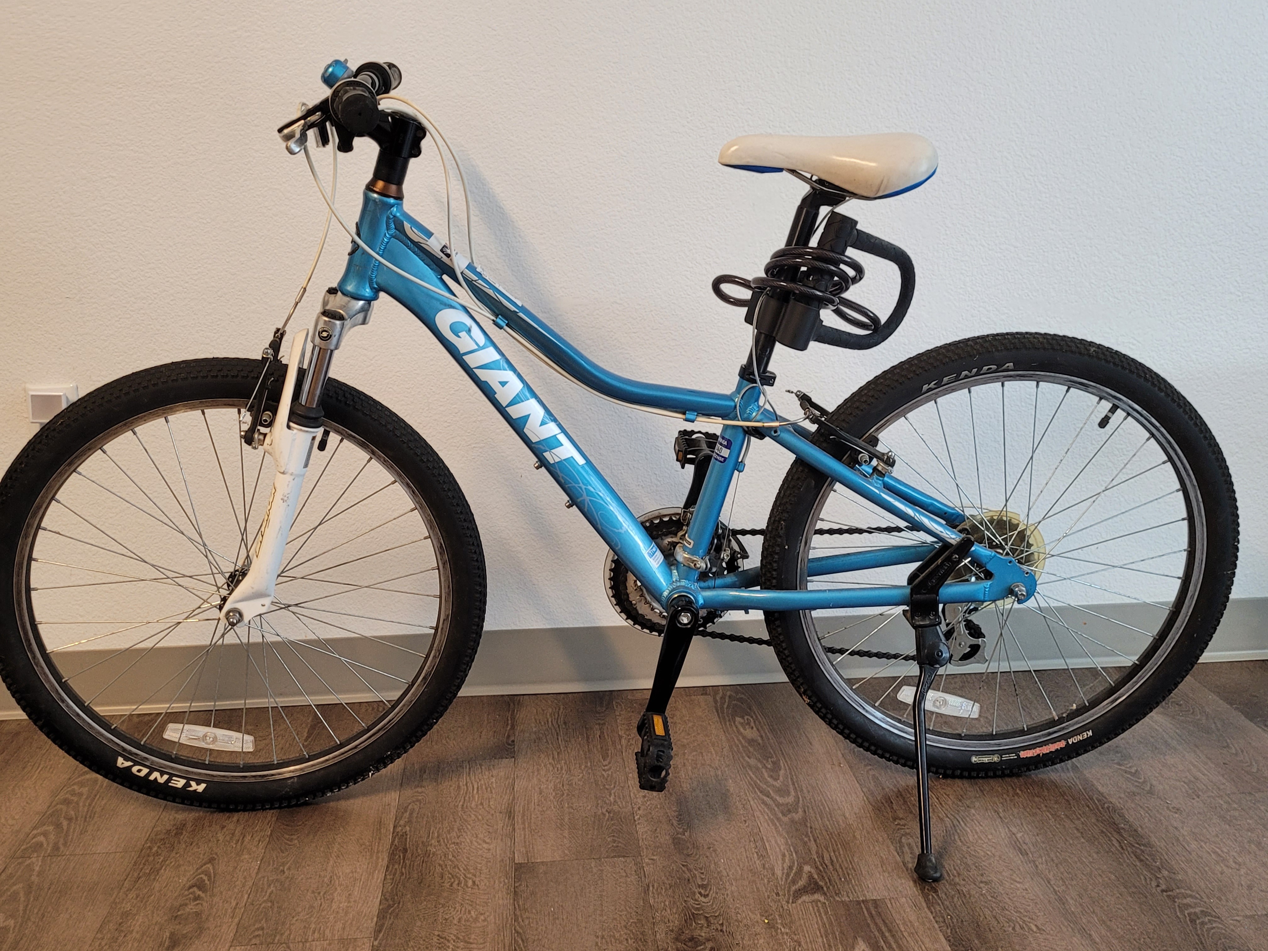 2010 Giant Areva 24