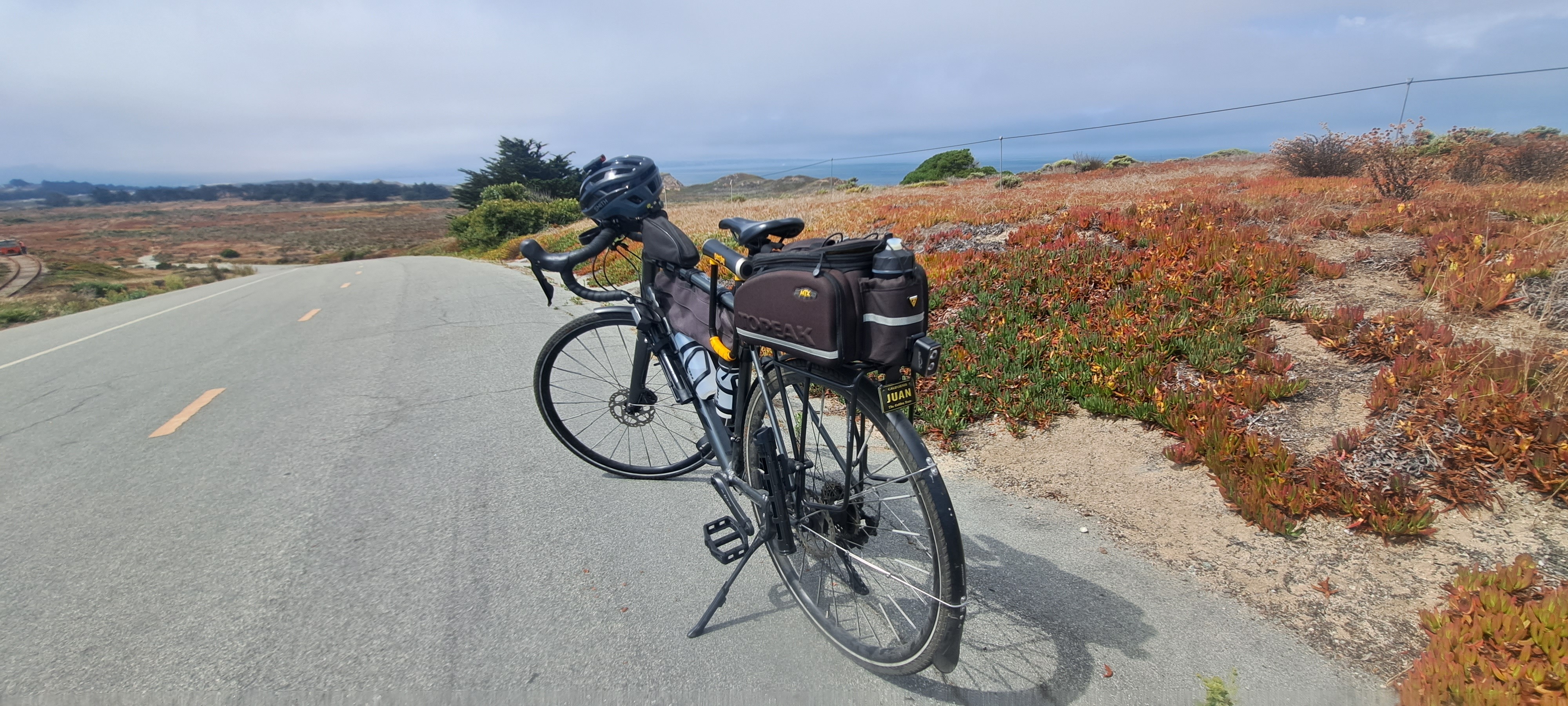2022 Trek Domane AL5