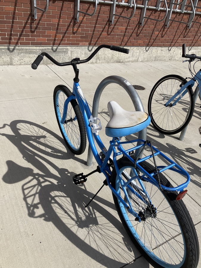 Pacific Cycle Skyrider