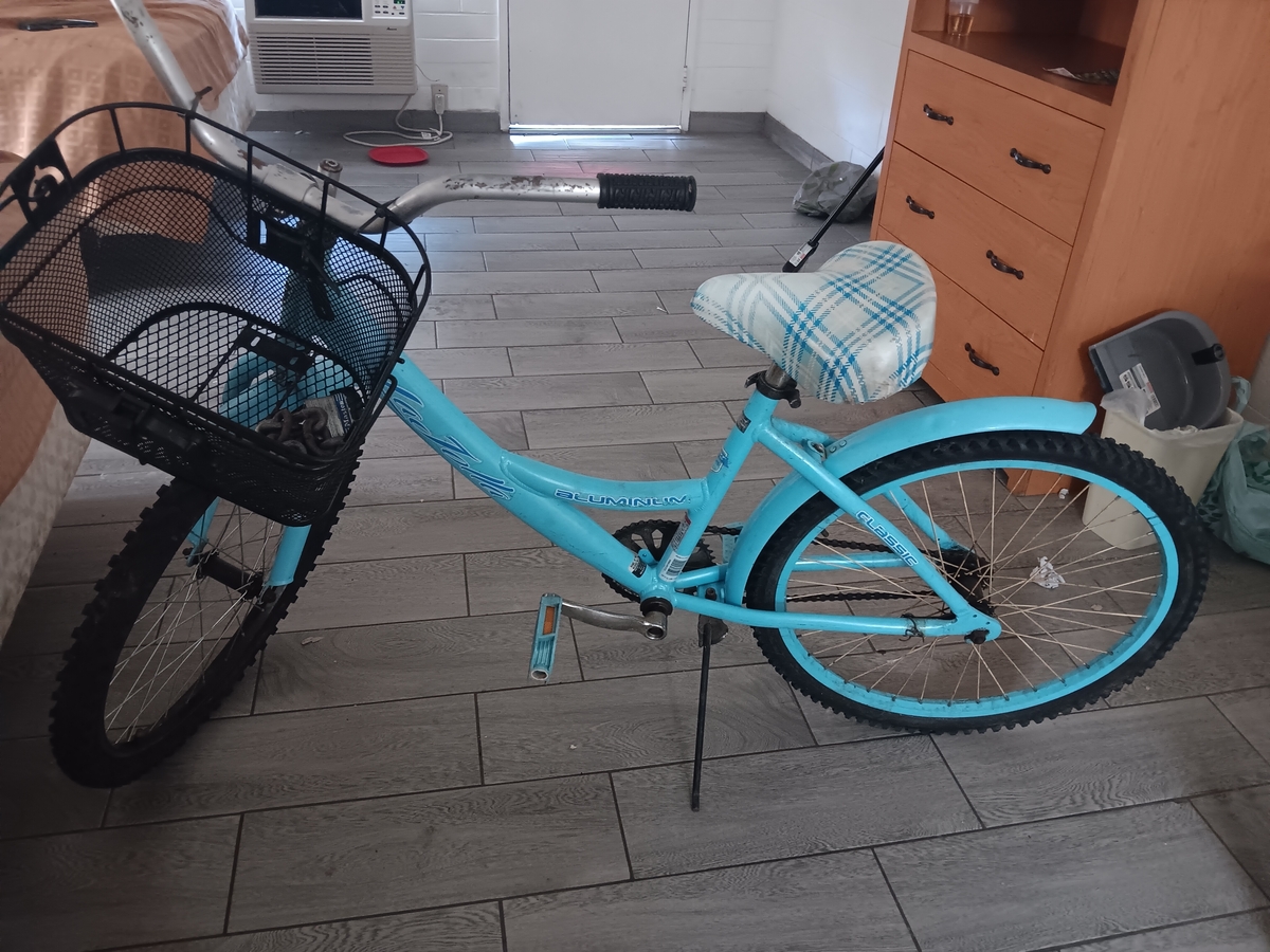 2023 Kent Beach cruiser