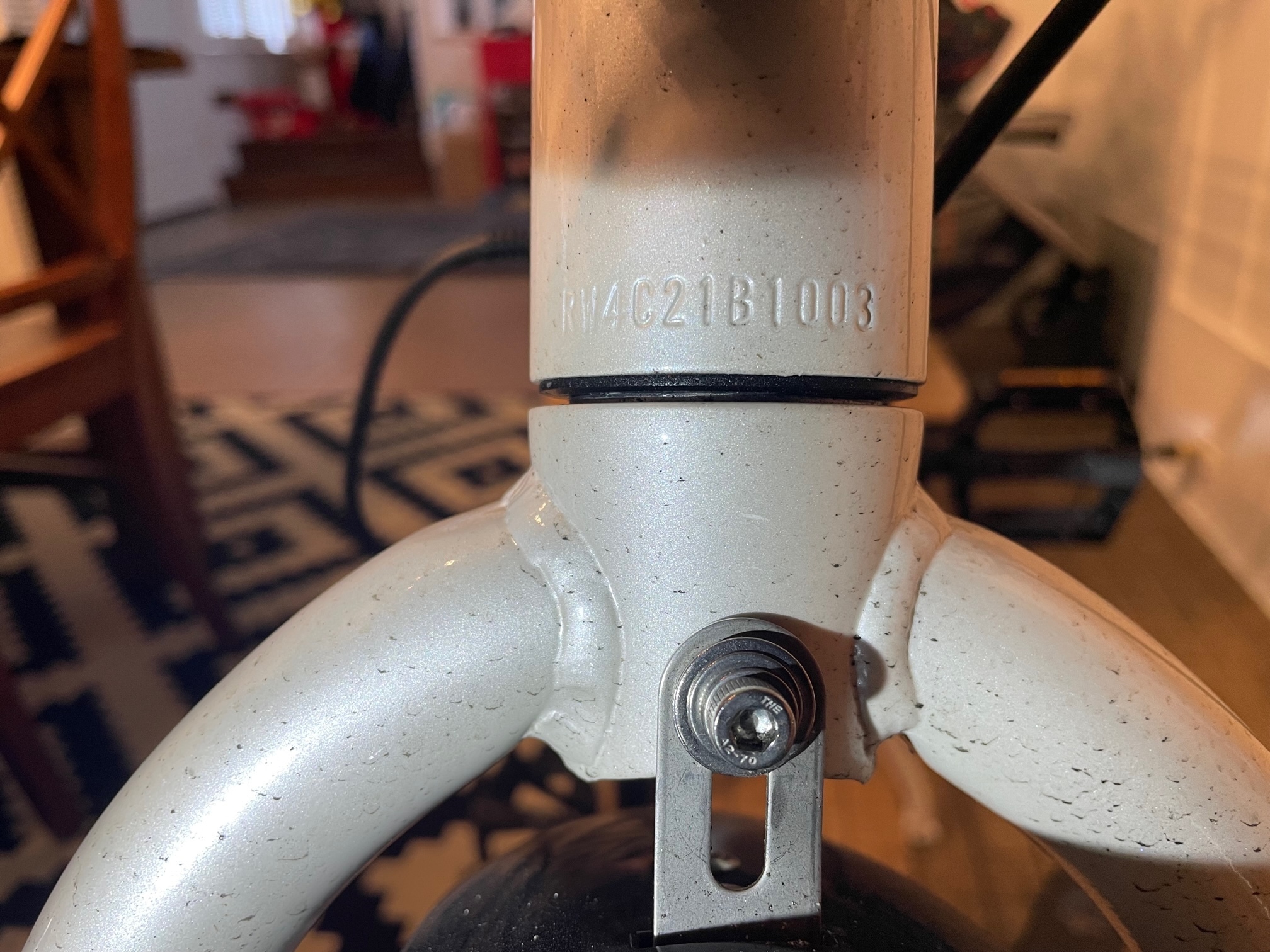 2023 Rad Power Bikes Radwagon 4