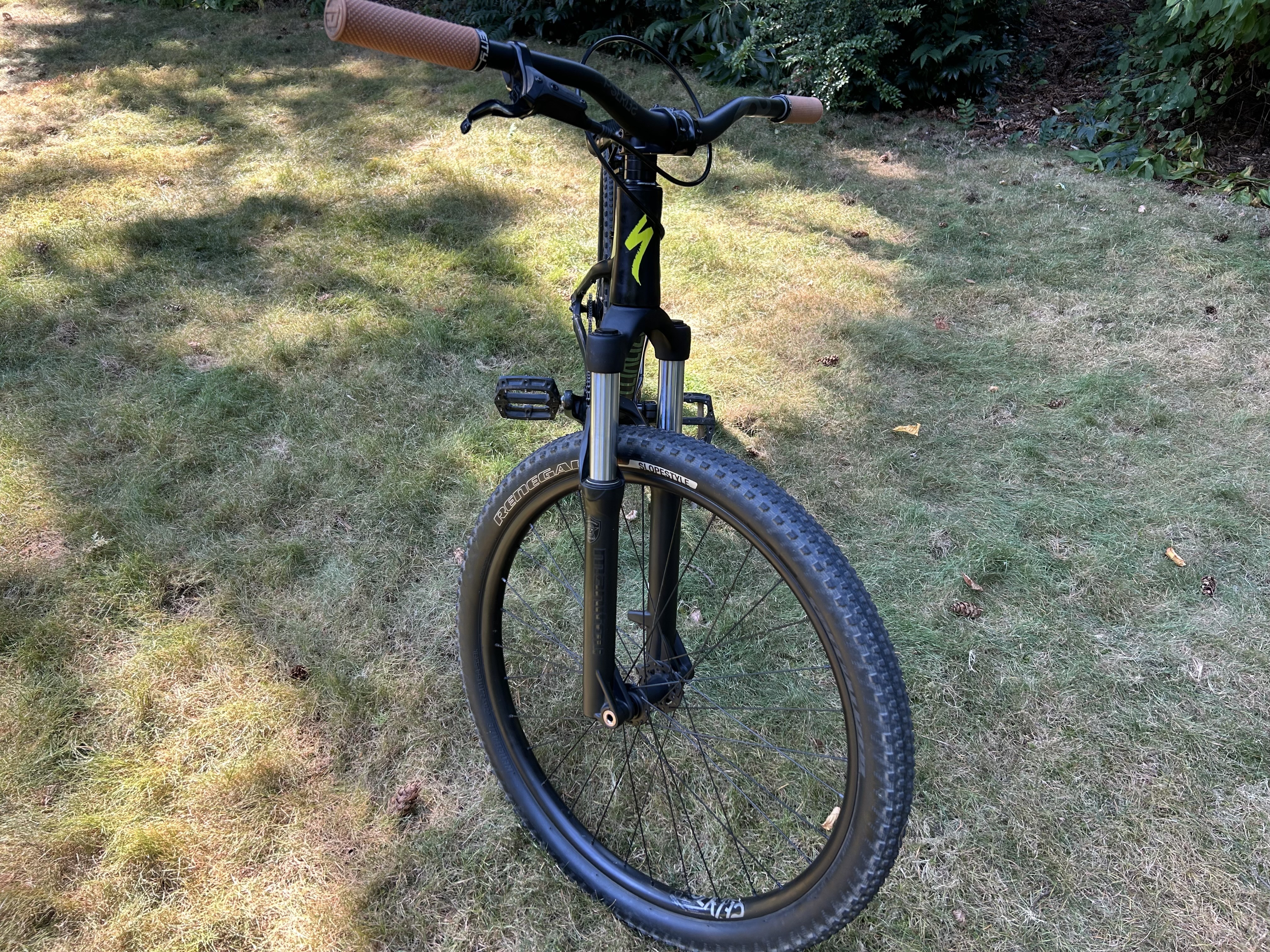 2019 Specialized P3