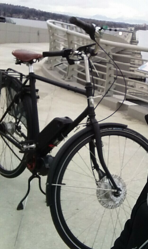 Stolen 2012 WorkCycles Secret Service