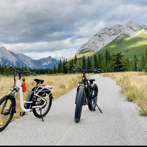 Stolen 2018 Rad Power Bikes Rad City Step thru