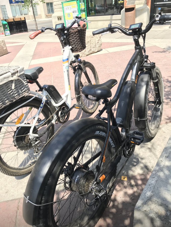 2018 Rad Power Bikes Rad Rover Fat tire