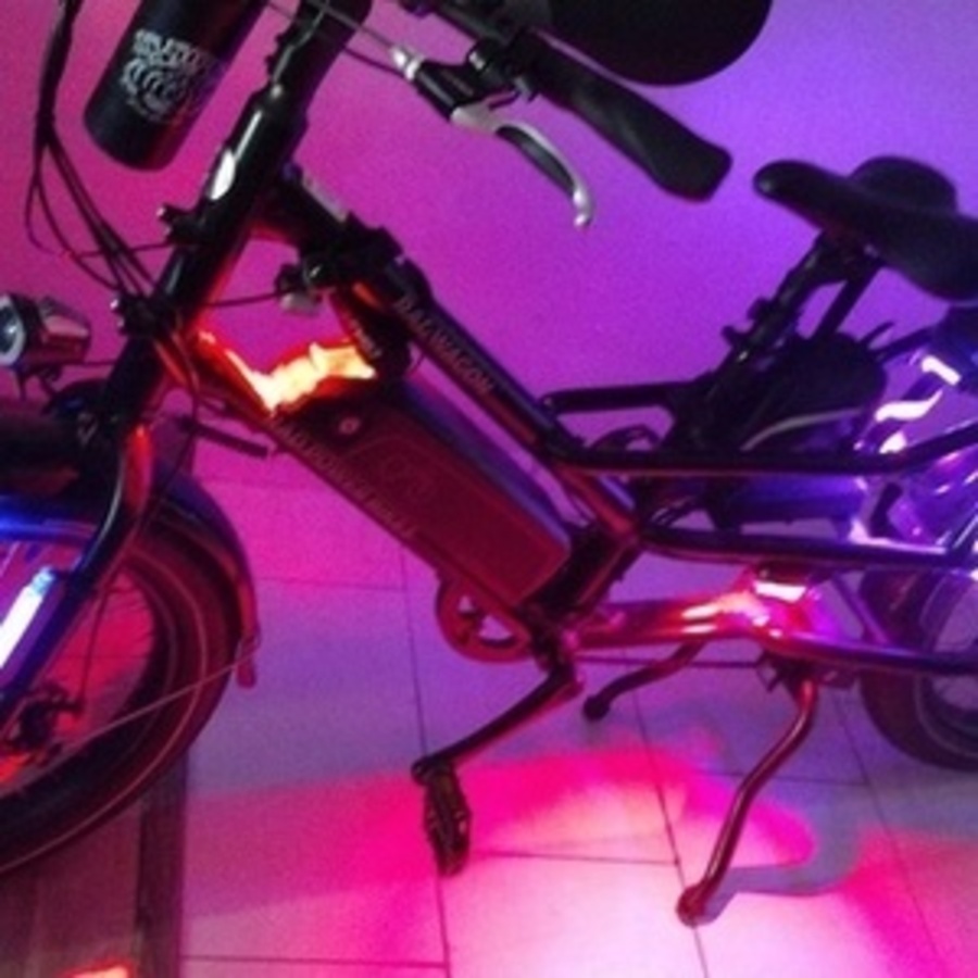 2022 Rad Power Bikes RadWagon4