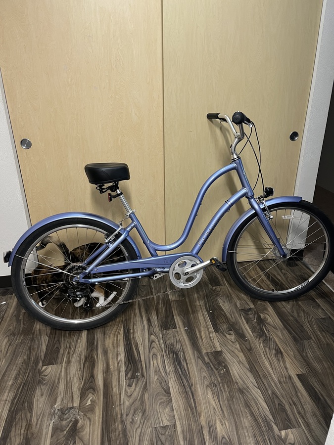 2019 Electra Townie 7D