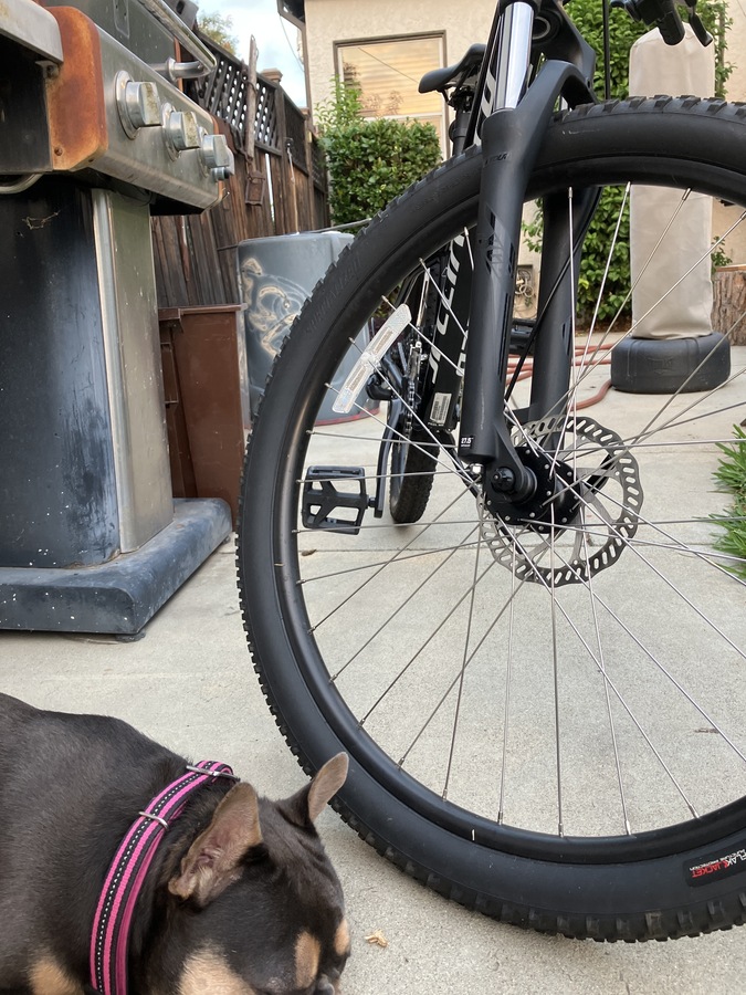 Stolen 2023 Specialized rock jumper