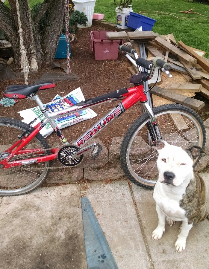 2009 Redline 24 inch Proline Pro team issue