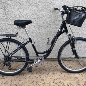 2015 Specialized Expedition