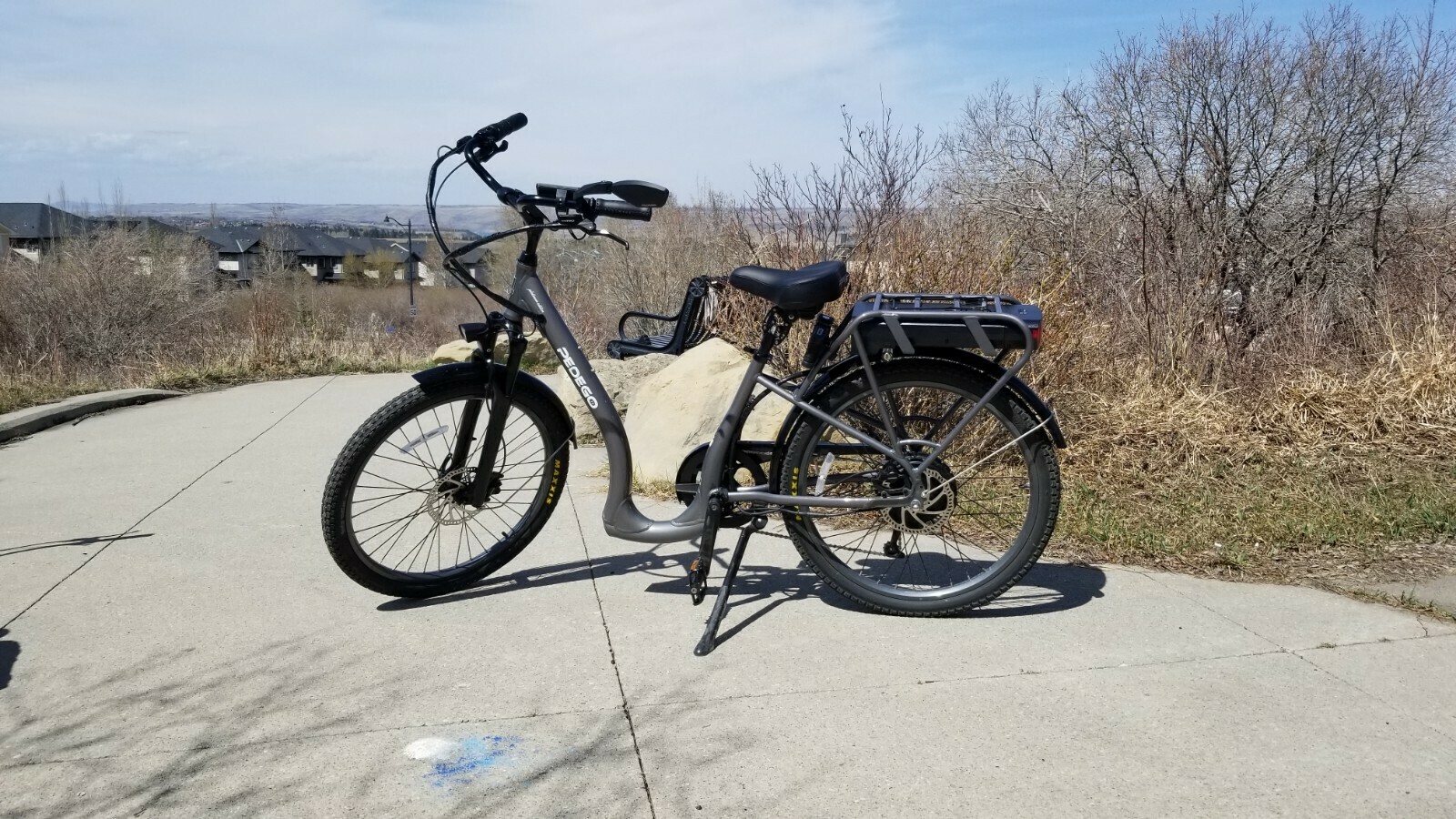 2023 Pedego Boomerang platinum