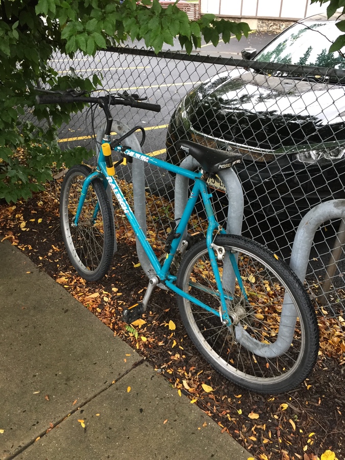 1990 Raleigh Technium