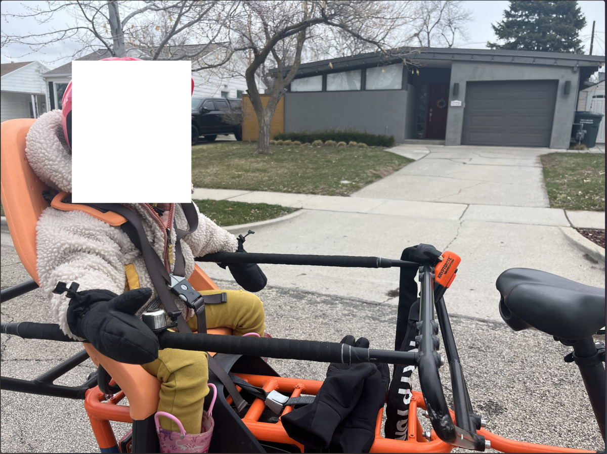 2022 Rad Power Bikes Rad Wagon 4